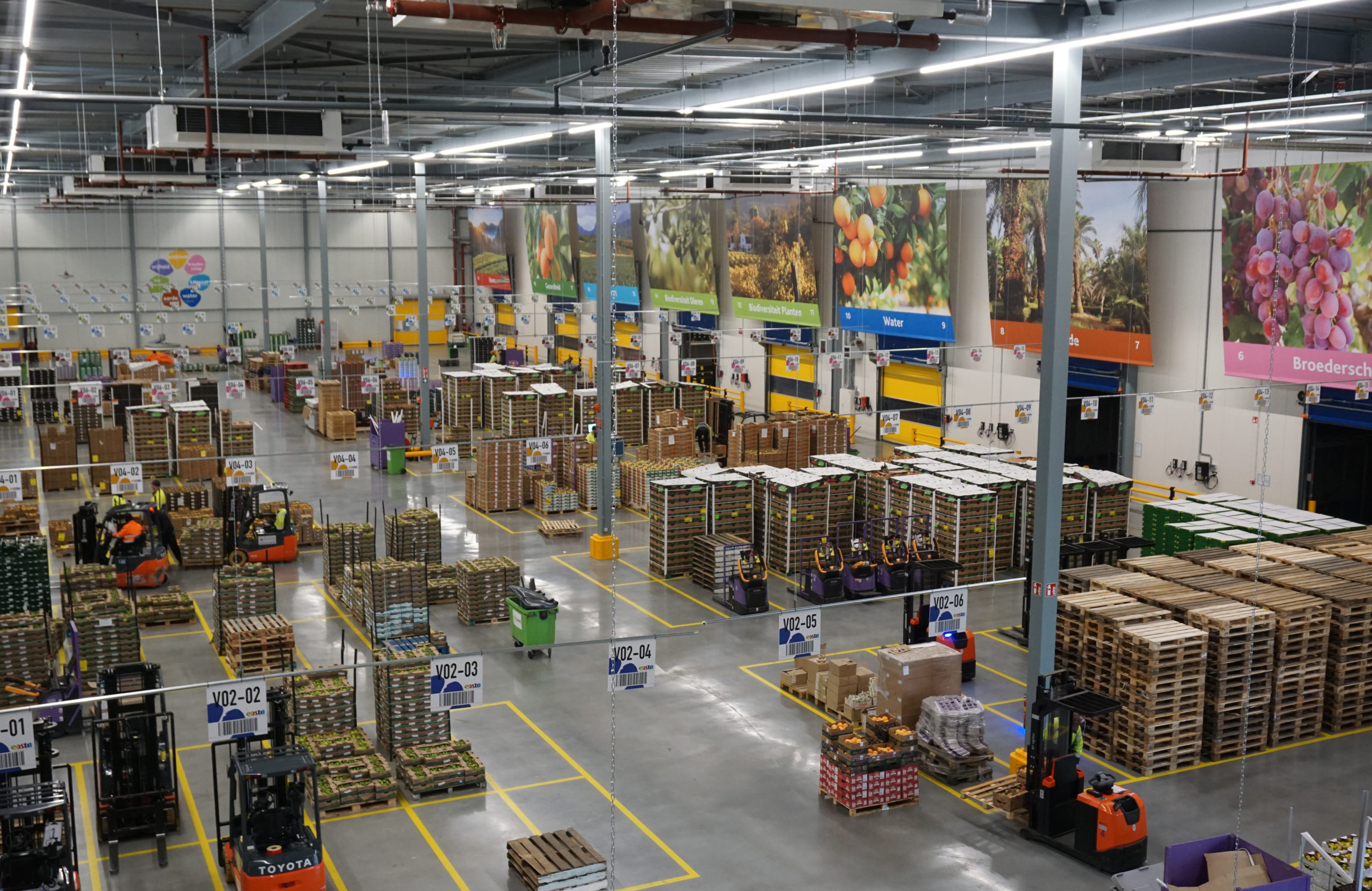 Cloud voor Groothandels | Eshgro